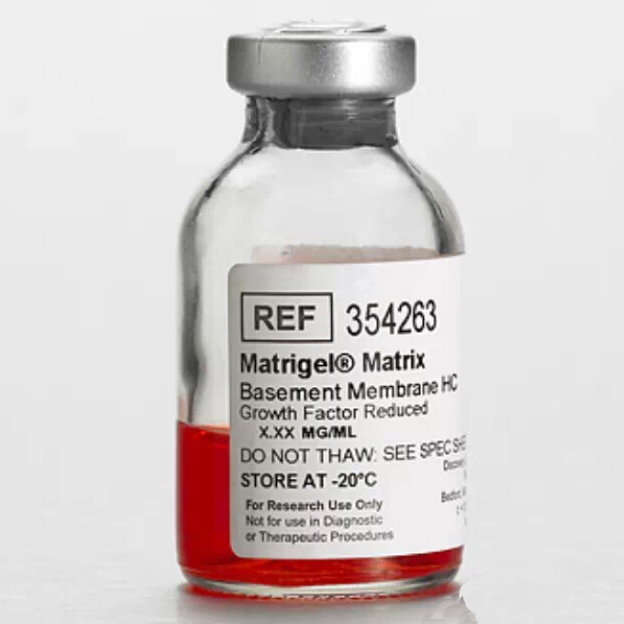技术小贴示：Corning® Matrigel® matrix的使用